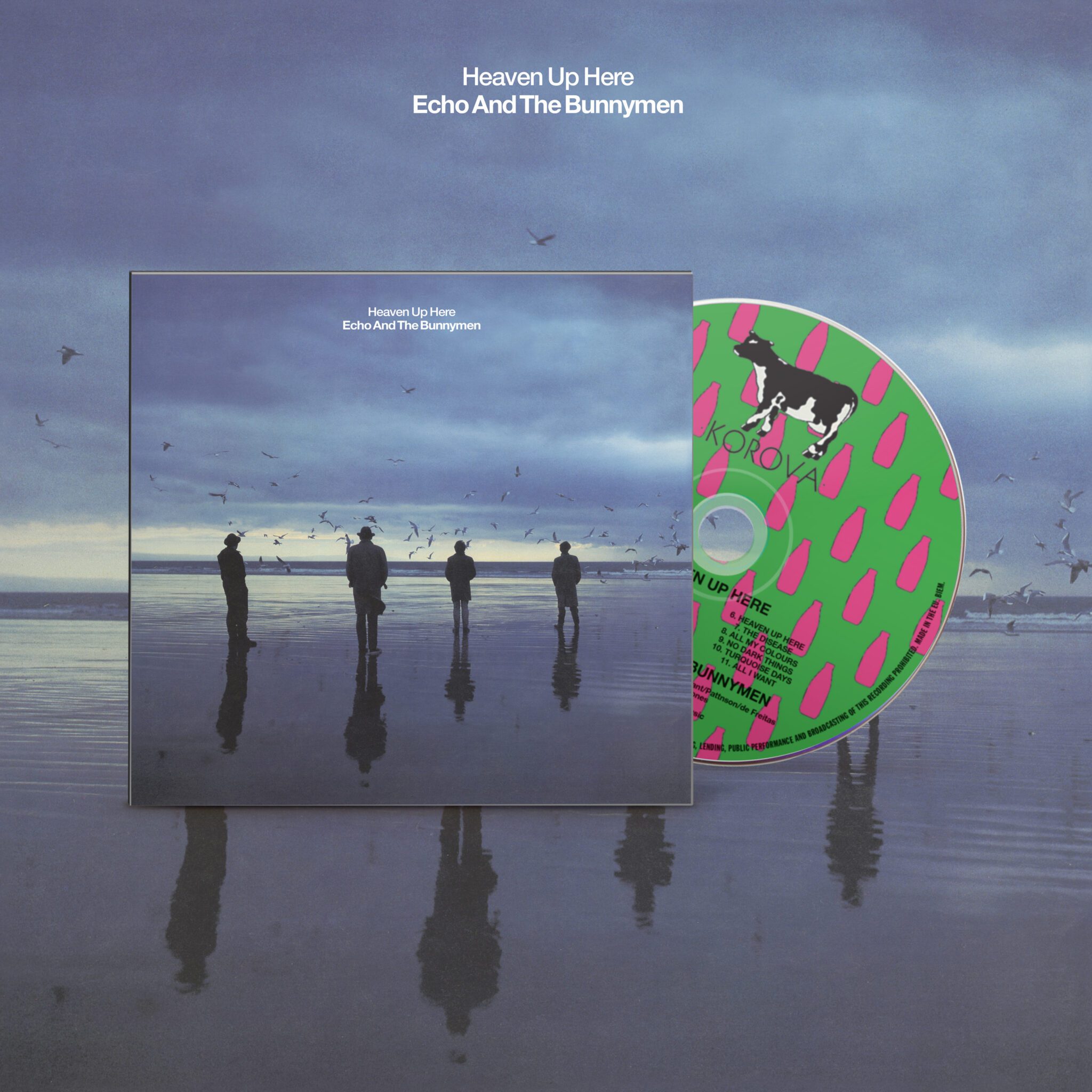 Echo & the Bunnymen CD Reissues | Echo & The Bunnymen